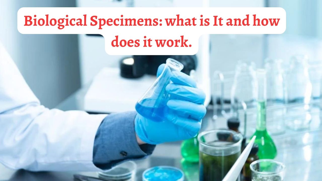 जैविक नमूना (Biological Specimens) संरक्षण क्या है?